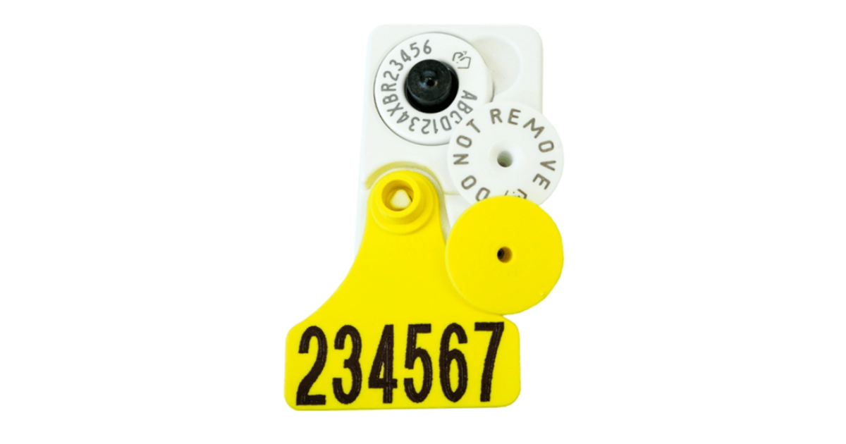 Cattle Ear Tags | Animal Ear Tags & Identification | Allflex Matching ...