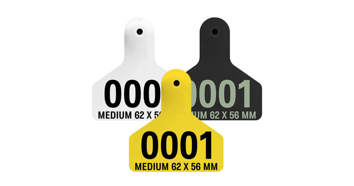 Cattle Ear Tags | Animal Ear Tags & Identification | Z Tags Medium Male ...