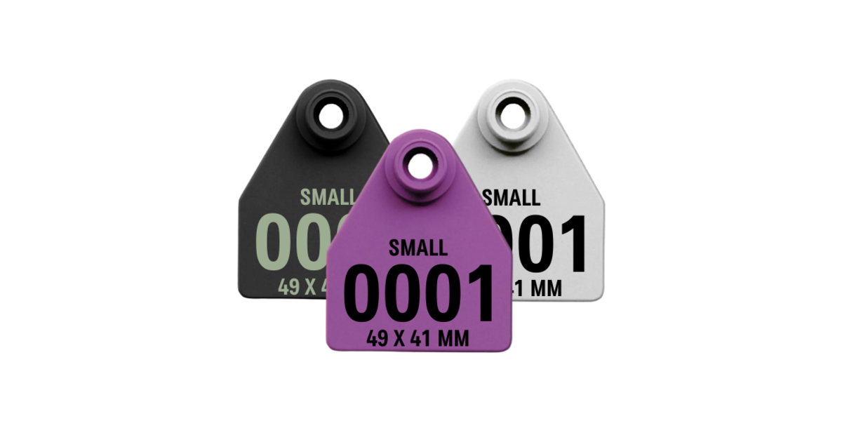 Cattle Ear Tags | Animal Ear Tags & Identification | Allflex Small ...