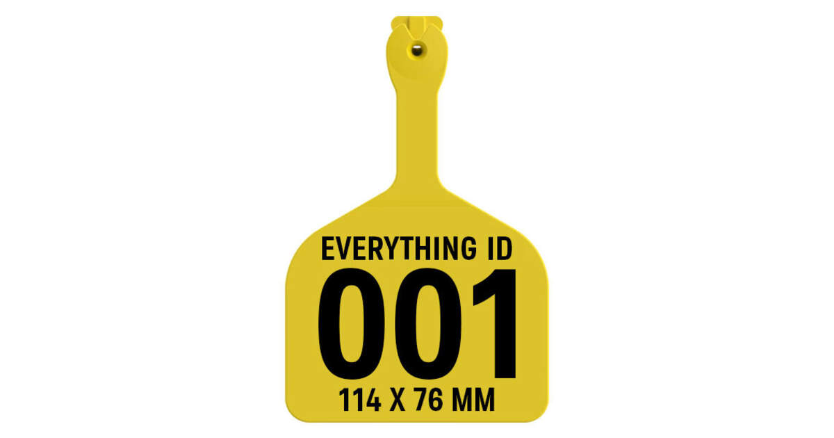 Cattle Ear Tags | Animal Ear Tags & Identification | Z Tags Feedlot One ...