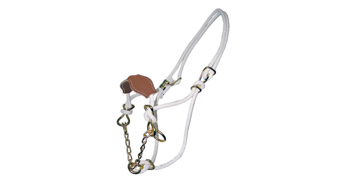Cattle Supplies - Dairy & Beef | Animal Husbandry & Farm | Bainbridge ...