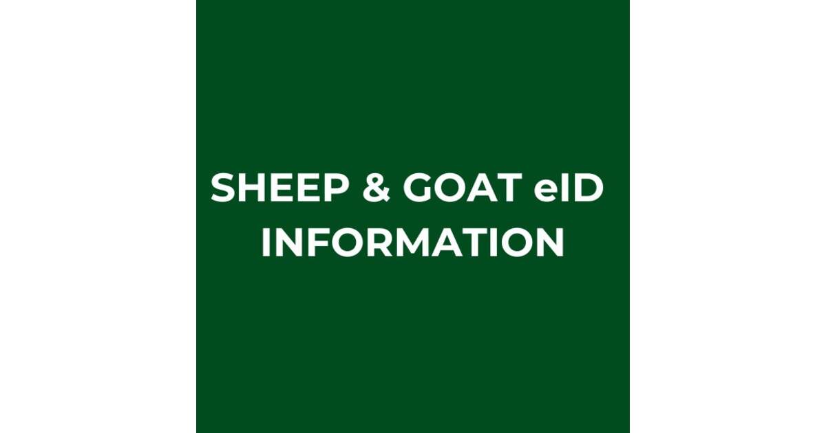 Animal eID - Sheep & Goat | Everything ID