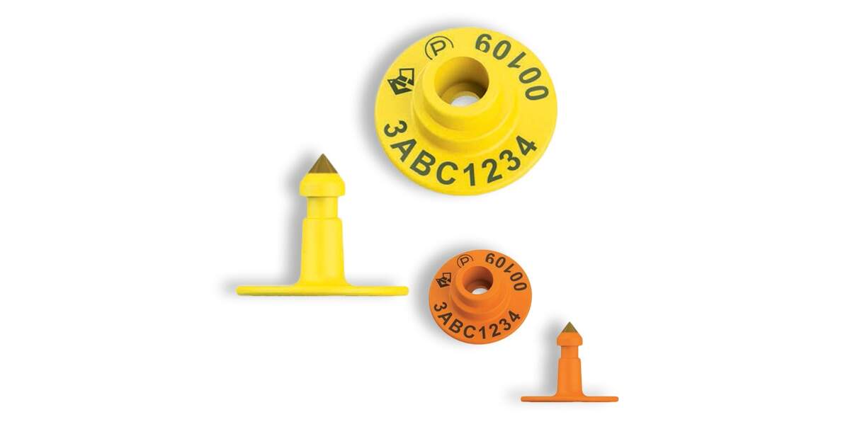 Pig Ear Tags | Animal Ear Tags & Identification | Leader NLIS Pig ...