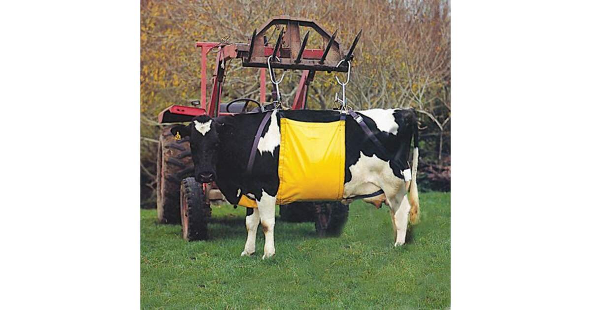 Birthing & Weaning | Animal Husbandry & Farm | Bainbridge Supreme Cow ...