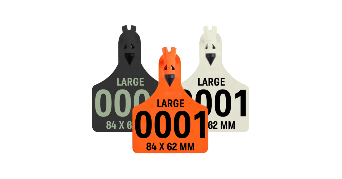 Cattle Ear Tags | Animal Ear Tags & Identification | Allflex A-Tag One ...