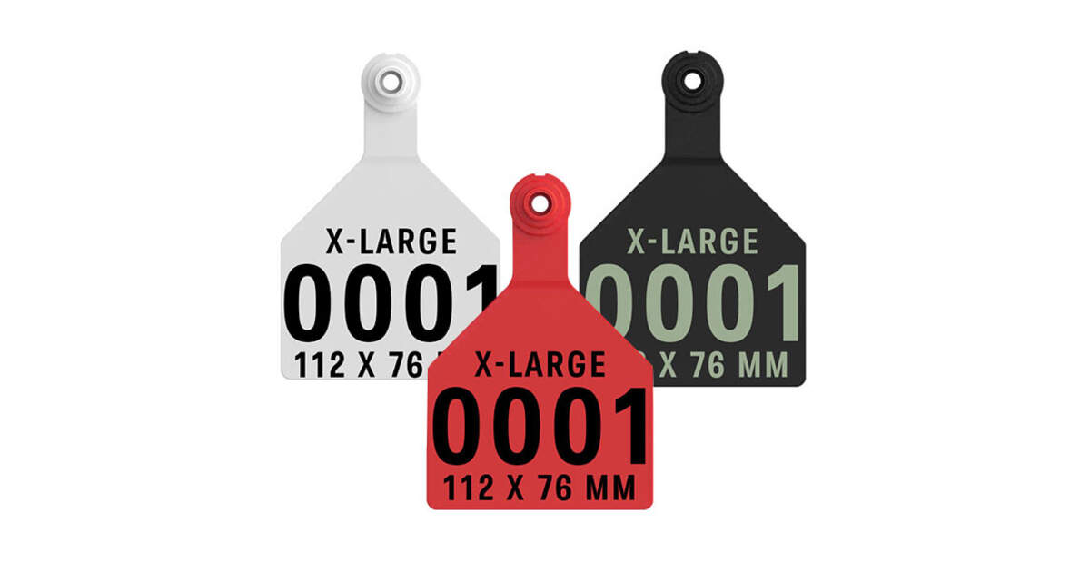 Cattle Ear Tags | Animal Ear Tags & Identification | Z Tags Maxi Extra ...